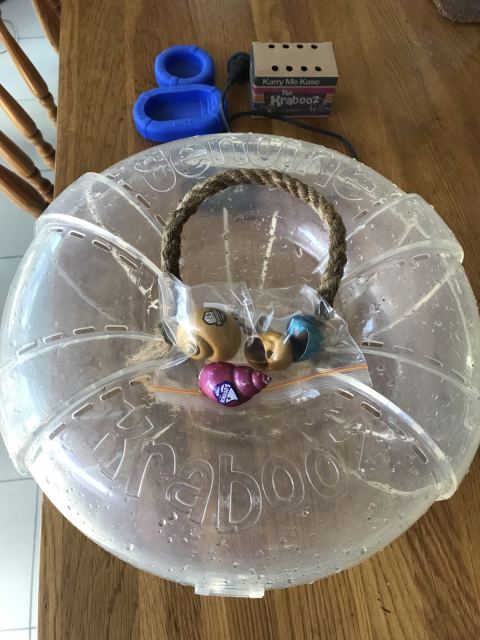 Krabooz hermit crab kit and heat pad | Pet Products | Gumtree Australia ...