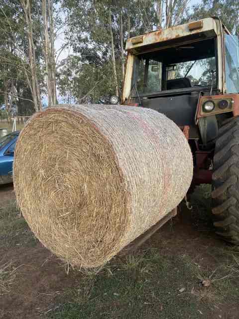 Hay forage sorghum round bales 4x4 | Pet Products | Gumtree Australia ...