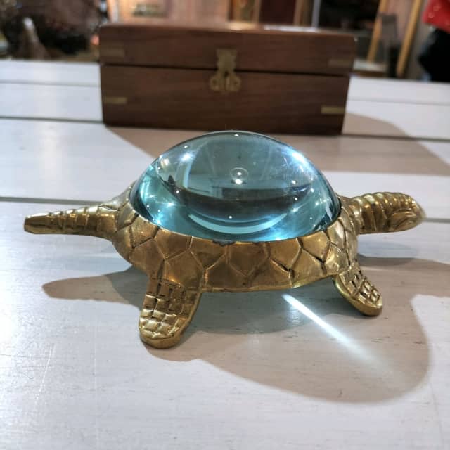 Vintage ornate " turtle" desk magnifying glass with timber display box ...