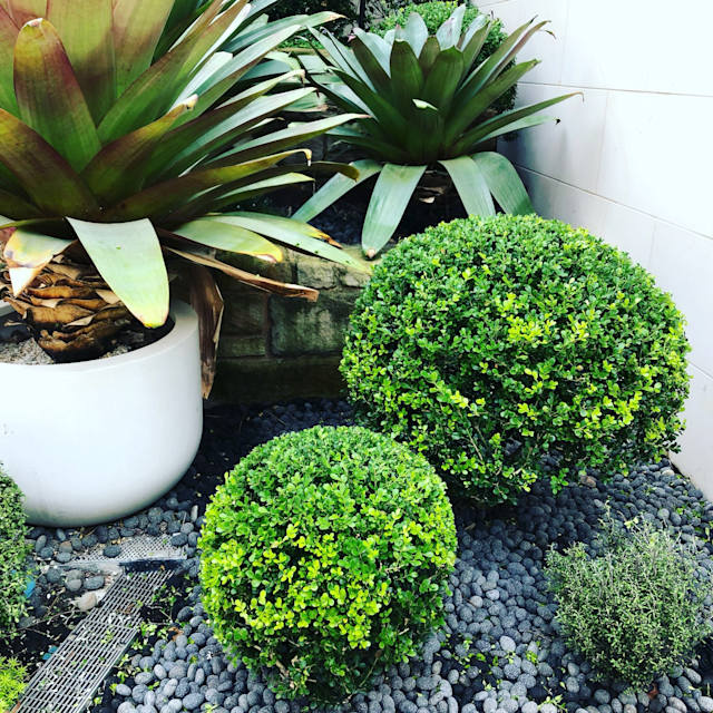 Gardening position. North Sydney. Immediate start | Gardening ...