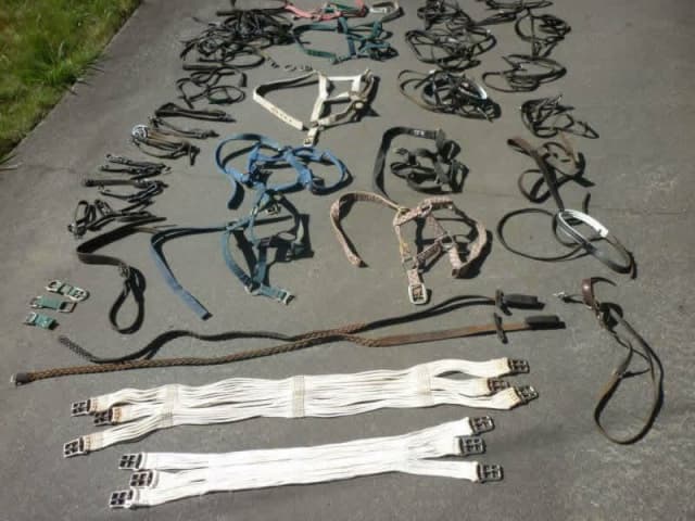 HORSE GEAR HORSE TACK Leather & Woven Bridles, String Girths Etc | Pet ...