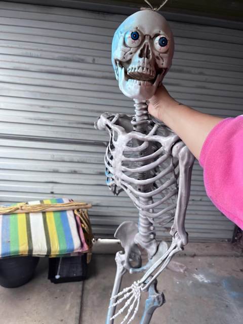 Skeleton hanger - Miscellaneous Goods in Hillbank SA | Gumtree Australia