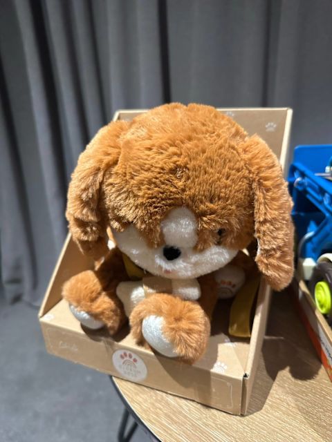 Pending / Brand New in Box Dog Plush Toy - Toys - Indoor in Box Hill ...