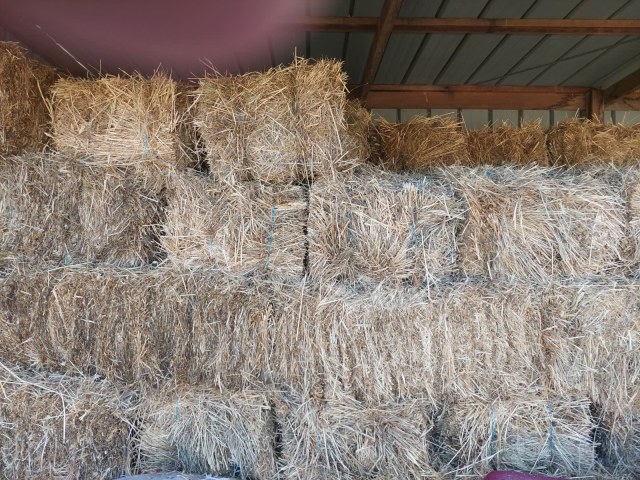 Hay small squares or large round bales | Pet Products | Gumtree ...