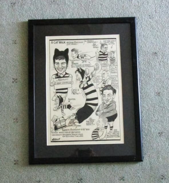 AFL Geelong 1965 Framed Age Cartoon - A Cat Walk around Kardinia Park ...