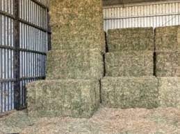 Hay Small Square Bales | Pet Products | Gumtree Australia Moorabool ...
