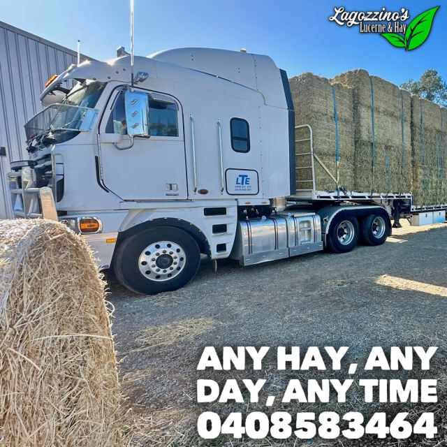 Small squares and round hay bales | Pet Products | Gumtree Australia ...