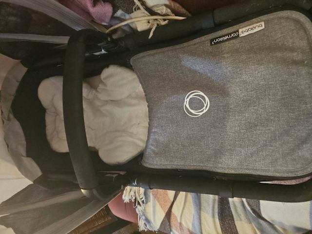 Baby pram, Chameleon Bugaboo - Prams & Strollers in Yokine WA | Gumtree ...