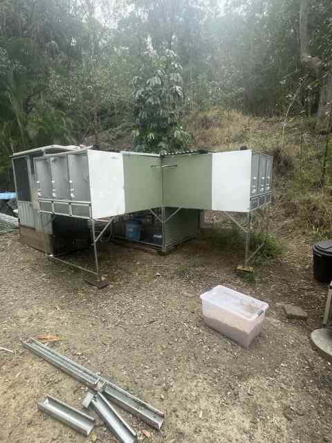 Parrotlets and 9 Bay Aviary Set Up | Birds | Gumtree Australia Gold ...