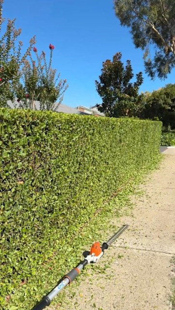 Reliable Gardener $30/hour Available Weekdays & Weekends | Landscaping ...