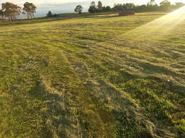 High quality rectangle hay bales | Pet Products | Gumtree Australia ...