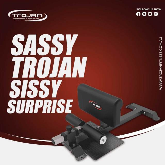 Sissy Squat Machine HD Squat Quad Ham String Developer FREE POST - Gym ...