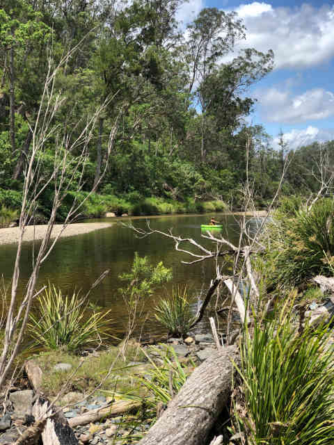 Off Grid Flood-Free 20 acre Bush Block Northern Rivers | Property For ...
