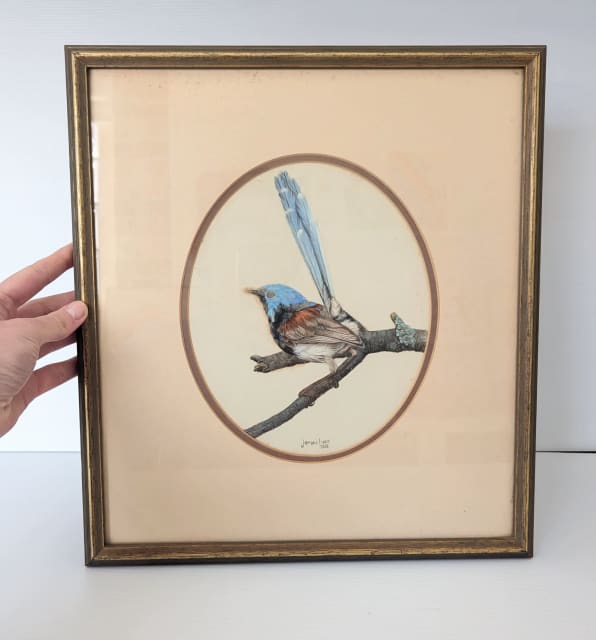 Original James Luck 1988 Waretcolour Painting Artwork Bird Fairywren ...