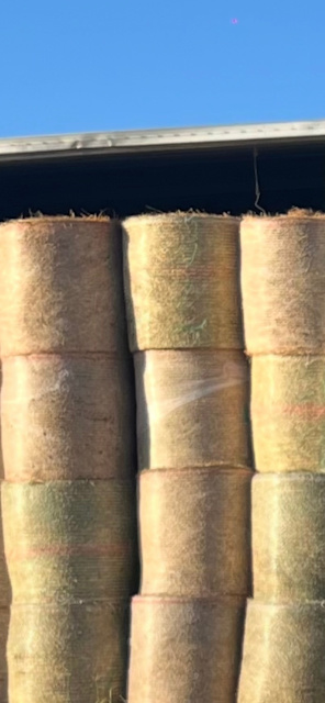 Hay for sale 4x4 bale bales rolls | Pet Products | Gumtree Australia ...