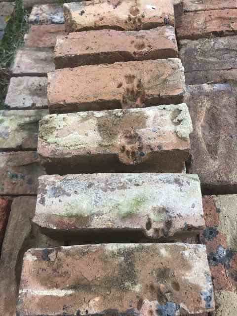 Sandstock bricks with animal prints - Building Materials in Annangrove ...