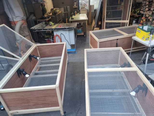 chicken / quail brooder box | Pet Products | Gumtree Australia Dungog ...