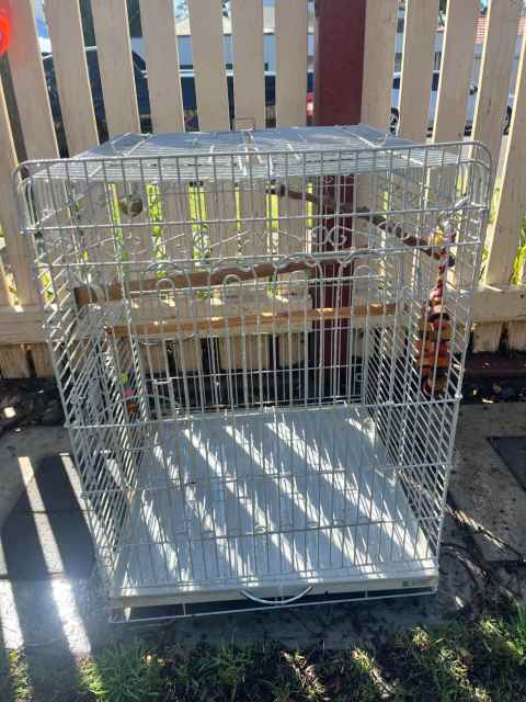 Bird Cage / Avery.. Excellent clean condition | Pet Products | Gumtree ...