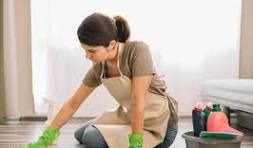 CLEANER REQUIRED - BLACKTOWN | Cleaner & Housekeeper | Gumtree ...