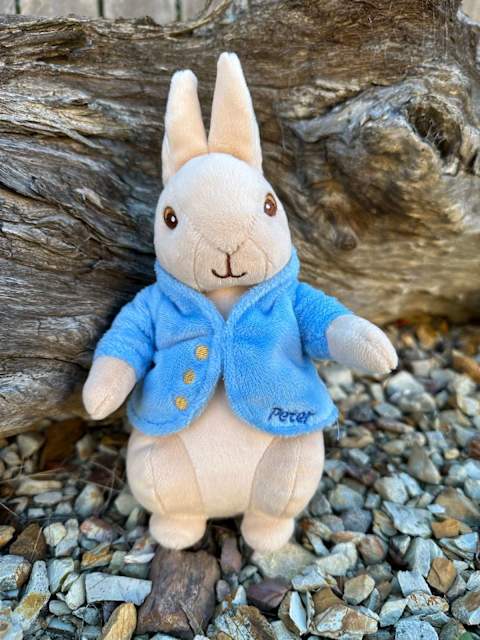 Peter Rabbit Plush Toy - Toys - Indoor in Latrobe TAS | Gumtree Australia