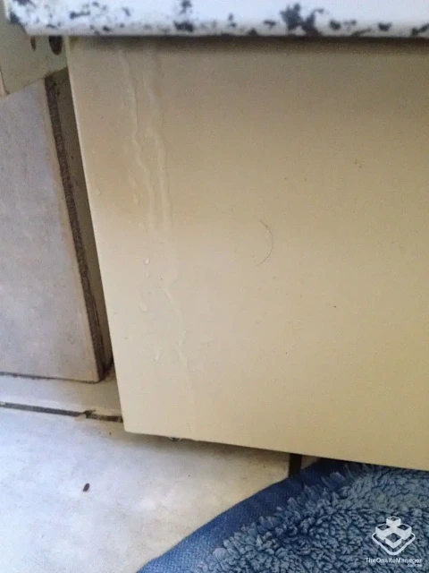 ID:21158770, 24 Amsonia Court, Arundel, Queensland 4214 - for Rent ...