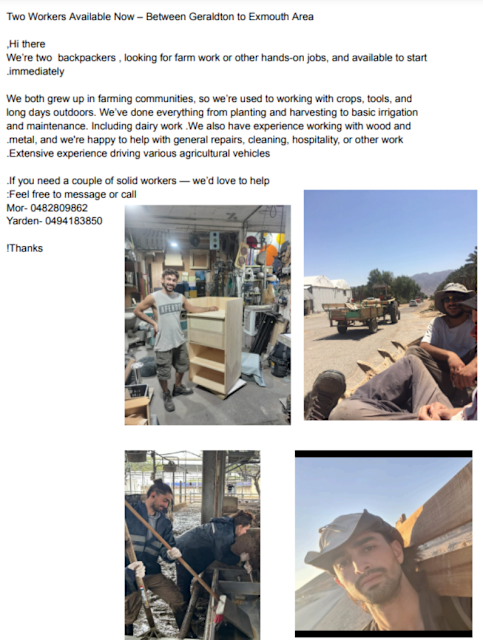 Two good friends are looking for a job in WA | Horticulture | Gumtree ...