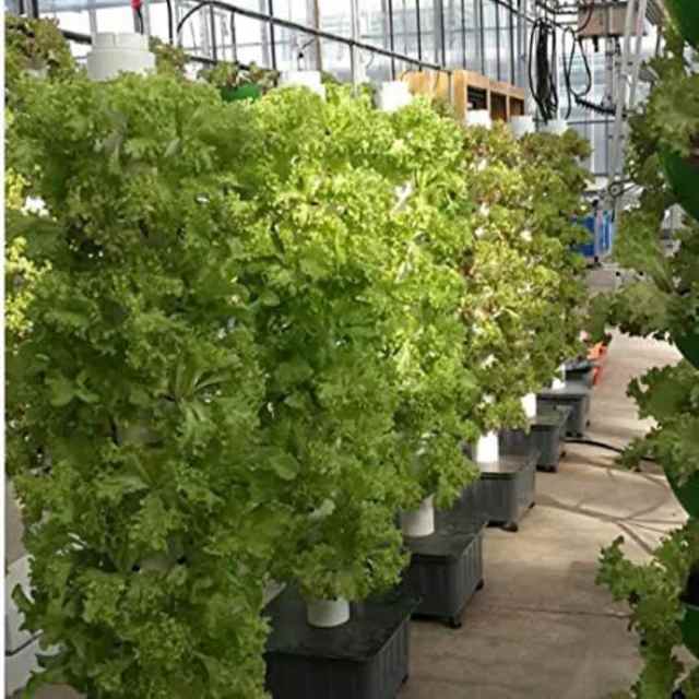 14 Layers 70 Sites Vertical Hydroponics Tower Aquaponics Growing Tower ...