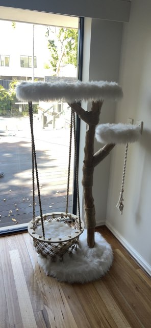 Solid Timber Cat Tree | Pet Products | Gumtree Australia Nedlands Area ...
