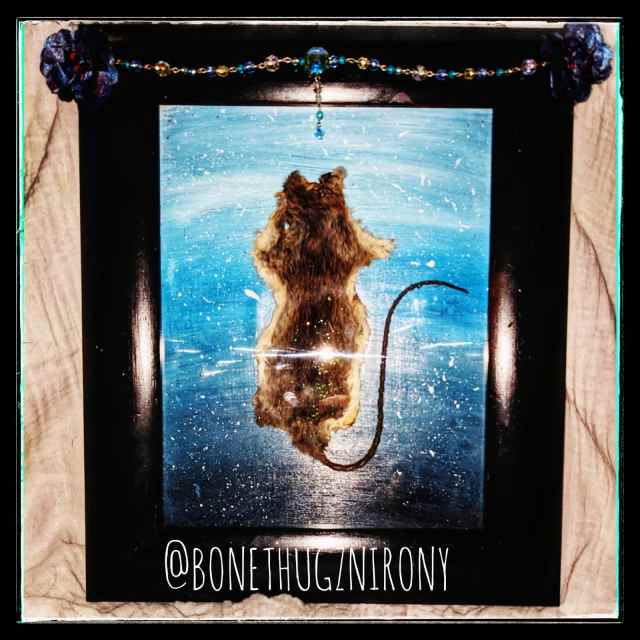 Framed mouse pelt. One of a kind piece - Other Home Decor in East Wagga ...