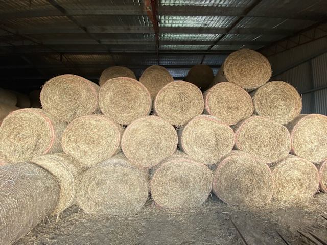 MEADOW HAY - ROUND BALES- RICHMOND | Pet Products | Gumtree Australia ...