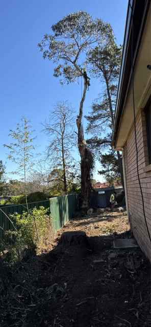 Gumtree firewood free - Other Home & Garden in Bradbury NSW | Gumtree ...