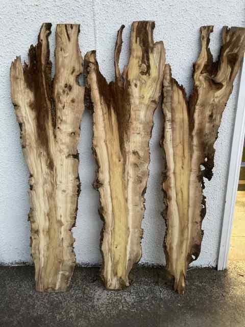 Unique mulberry natural live edge timber slabs $120-$140 each ...