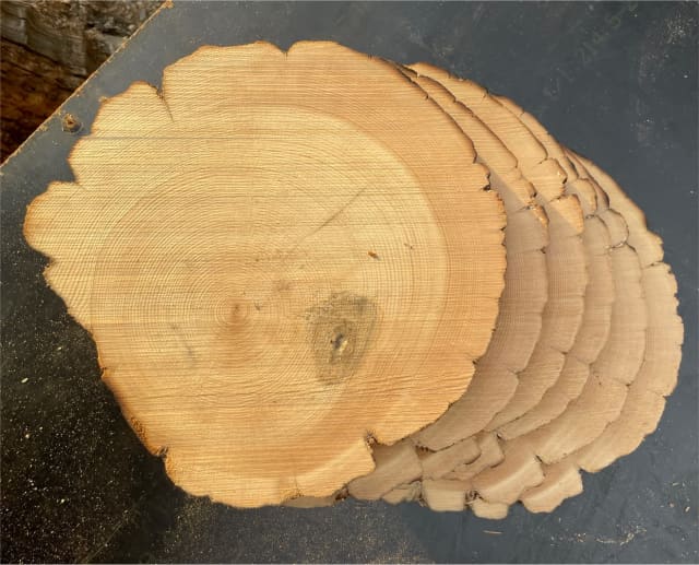 Huon pine rounds | Building Materials | Gumtree Australia Hobart City ...