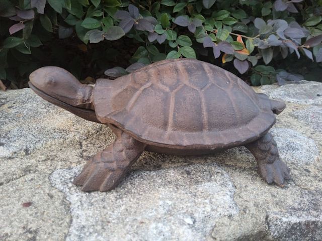 Cast Iron Turtle - Decorative Accessories in Theodore ACT | Gumtree ...