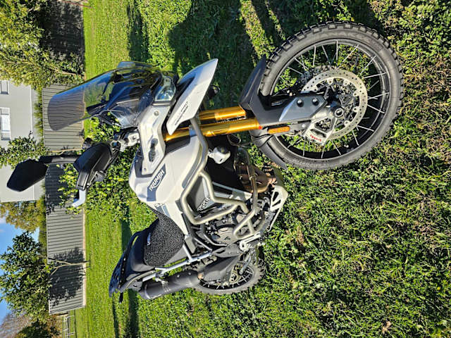 triumph tiger 900 rally pro | Motorcycles | Gumtree Australia Singleton ...