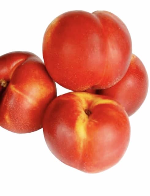 Nectarine fruit tree already flowering, grafted, about 1.3m tall ...