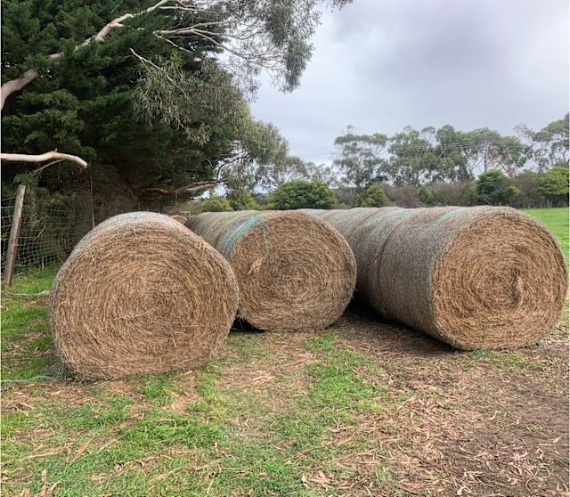 GRASS HAY FOR SALE 5x4 Round Bales - Price includes delivery | Pet ...