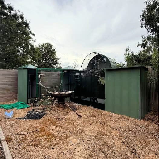 Birds Paradise - XL bird aviary | Birds | Gumtree Australia Macedon ...