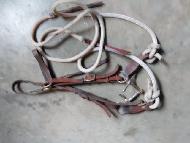 Tack room clean out mostly western | Horses & Ponies | Gumtree ...
