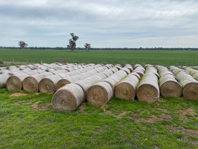 Mixed Hay For Sale, Round Bales, $120 - Miscellaneous Goods in Tocumwal ...