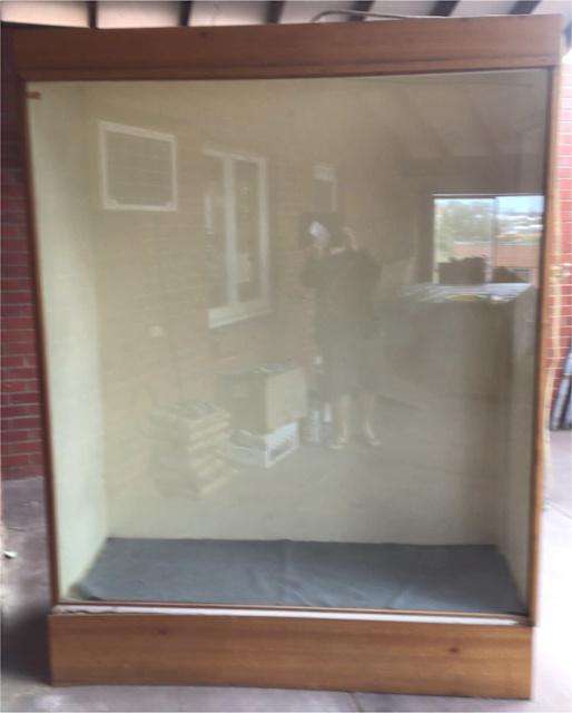 Large Vintage Walk-In Display Cabinet with Light - Collectables in ...