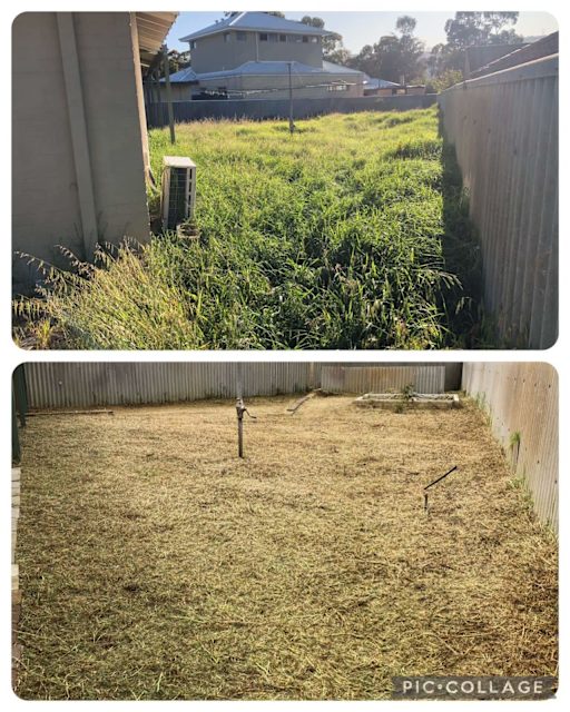 Gardening services | Landscaping & Gardening | Gumtree Australia ...