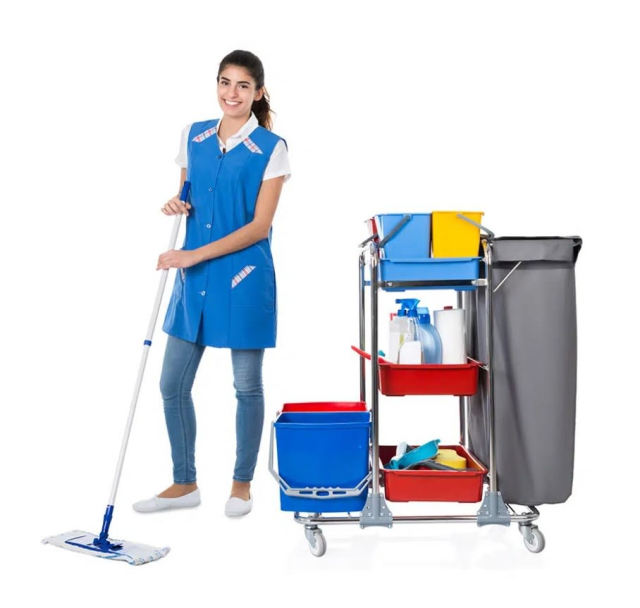 Hiring Cleaners in Sydney | Cleaner & Housekeeper | Gumtree Australia ...