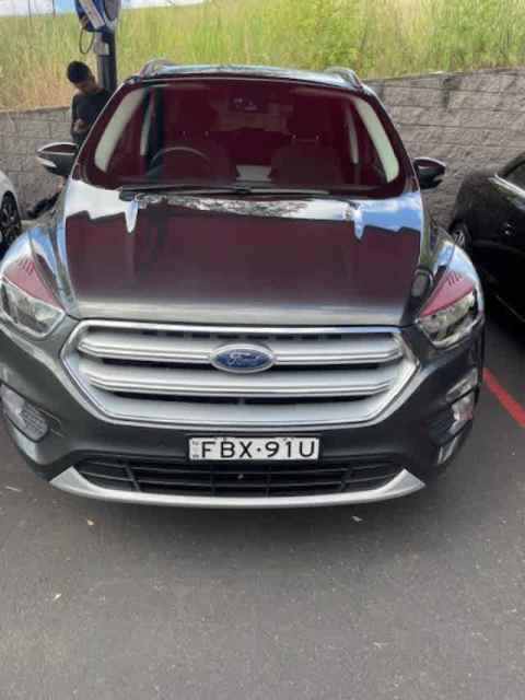 2019 FORD ESCAPE TREND (AWD) 6 SP AUTOMATIC 4D WAGON | Cars, Vans ...