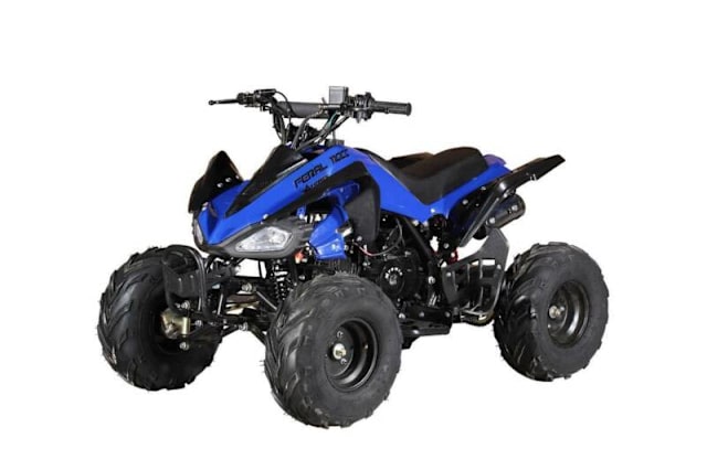 ATOMIK FERAL 110cc TROOPER RAIDER REAKTOR QUAD MAGNETO COVER ...