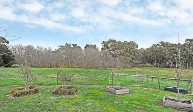 unwanted animals | Livestock | Gumtree Australia Pyrenees Area ...