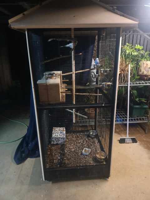 Bird Avery and Accessories | Pet Products | Gumtree Australia Ipswich ...