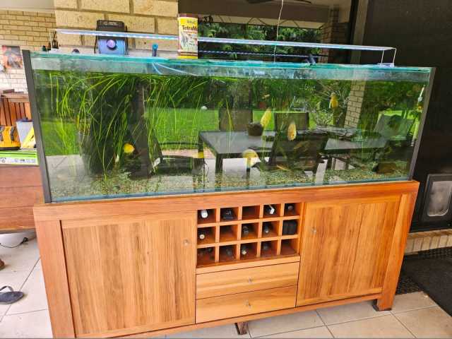 6 foot tank in excellent condition 10mm glass / cupboard | Fish ...