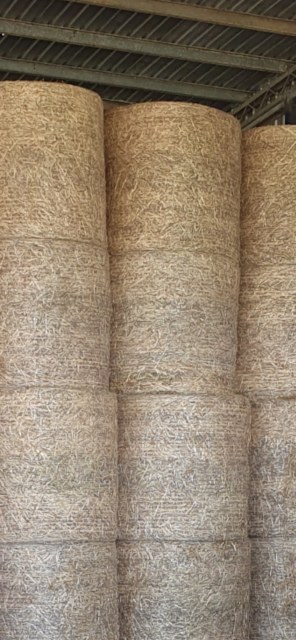 Hay for sale Oaten round bales 4x4 | Pet Products | Gumtree Australia ...