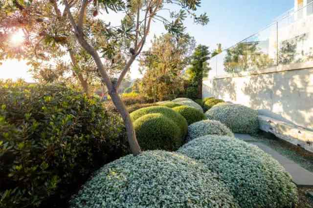 Landscape Gardener / Horticulturist | Gardening & Landscaping | Gumtree ...